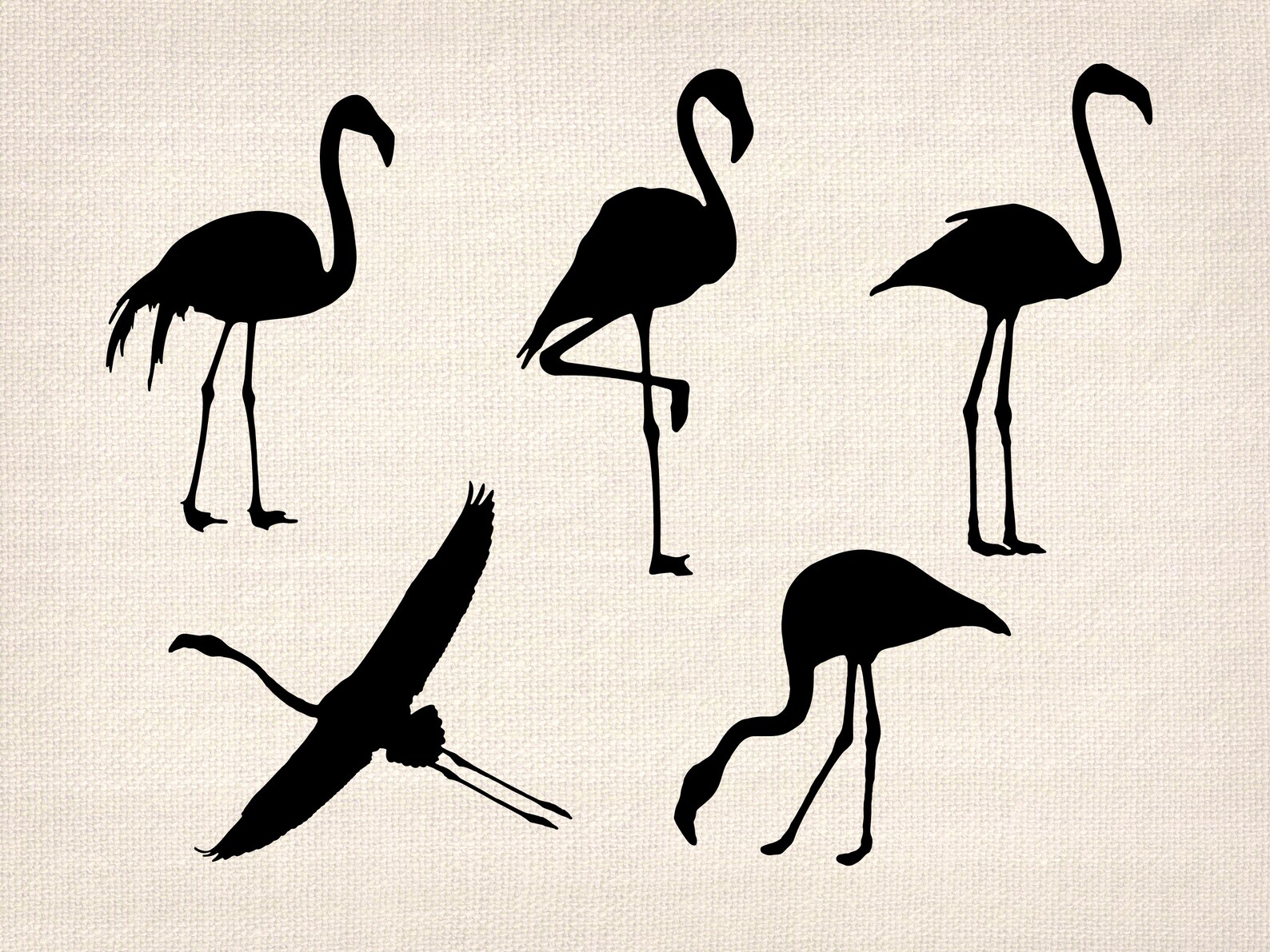 Flamingo Silhouette SVG Vector Clipart Flamingo Shape Cut Files ...