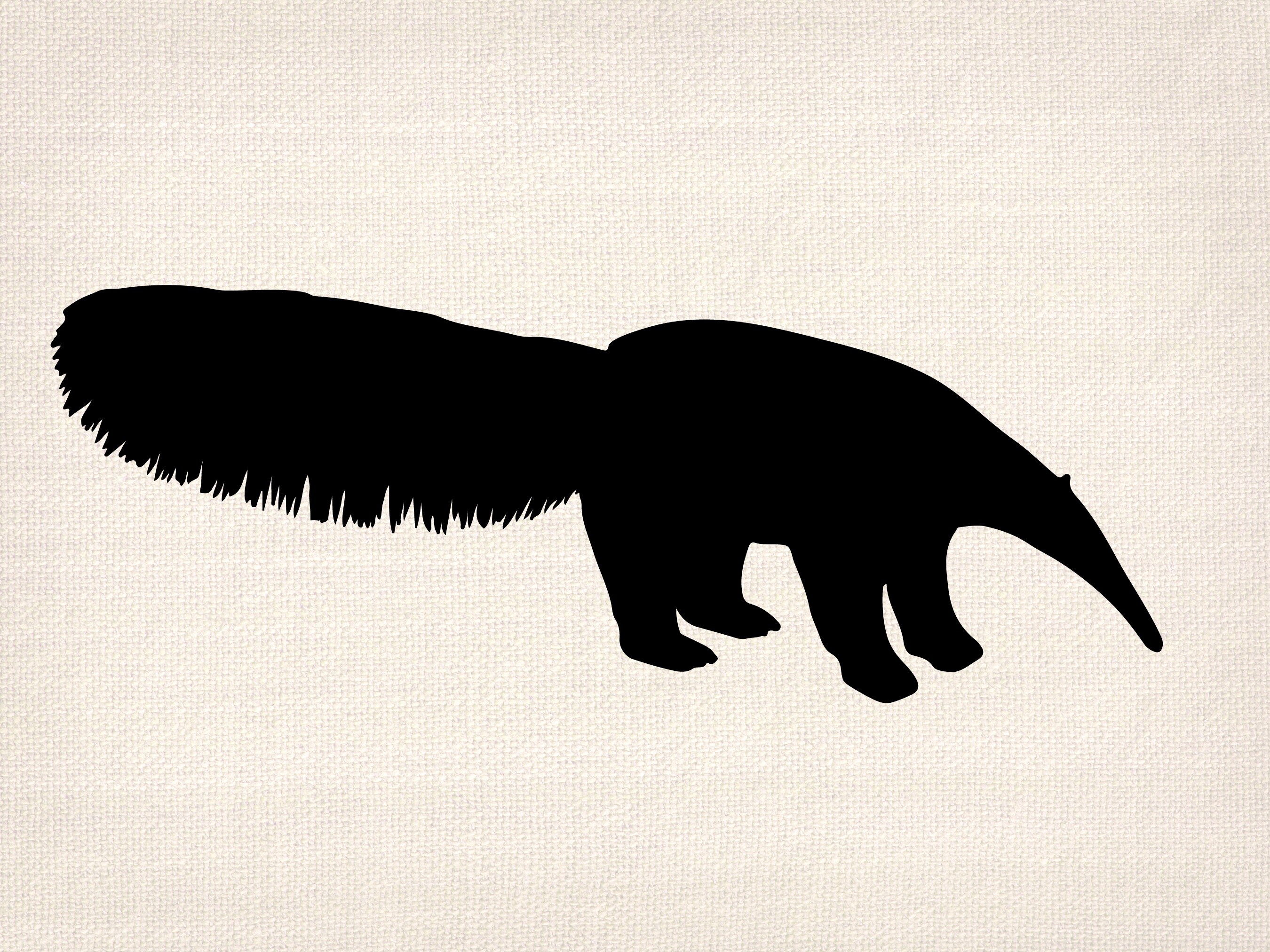 Anteater Silhouette SVG Vector Clipart Anteater Shape Cut Files Animal ...