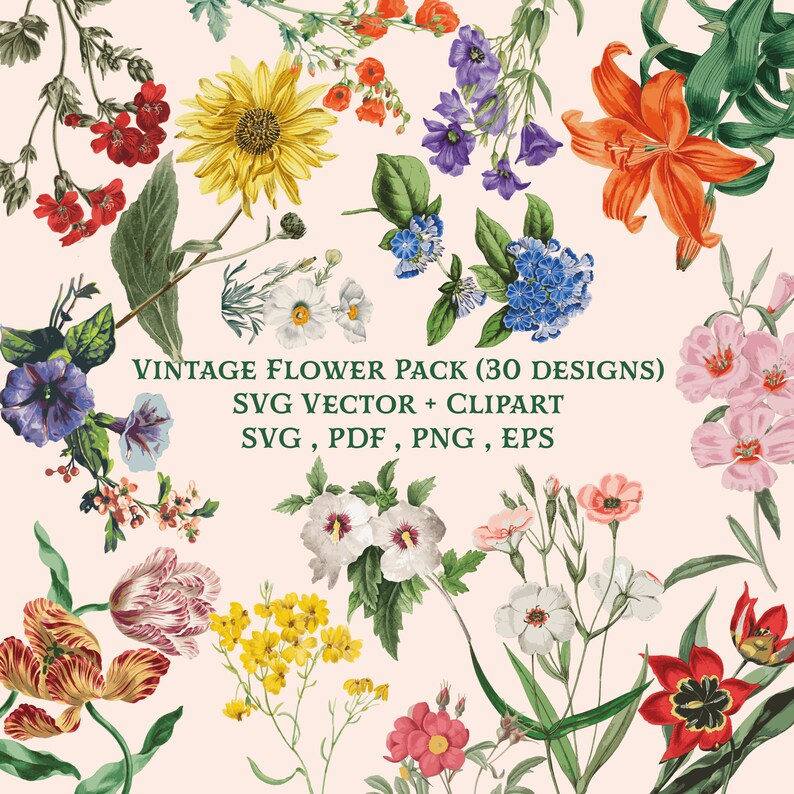 Flower Pack Svg Vector Clipart 30 Designs / Vintage | Etsy