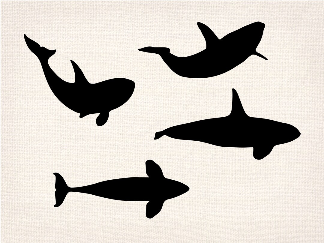 Orca Silhouette SVG Vector Clipart Killer Whale Orca Shape Cut Files ...