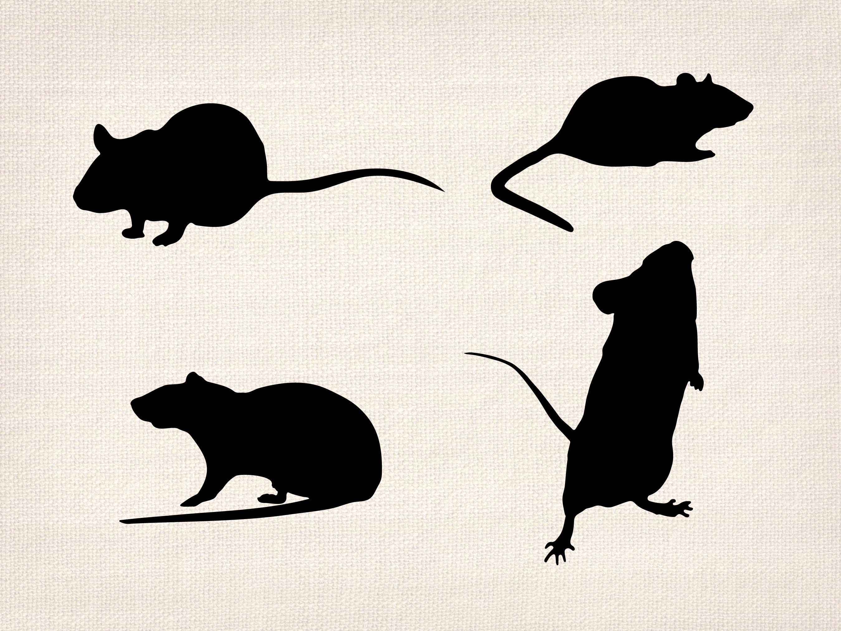 Mouse and Rat SVG Vector Clipart Mouse and Rat Shape Cut Files Rodent ...