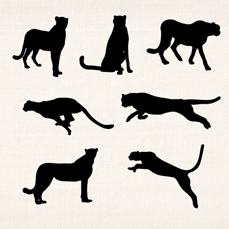 Cheetah Vector - Etsy