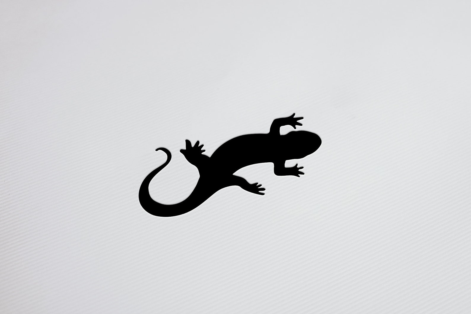 Salamander SVG Silhouette Animal Black Silhouette Vector Commercial Use ...