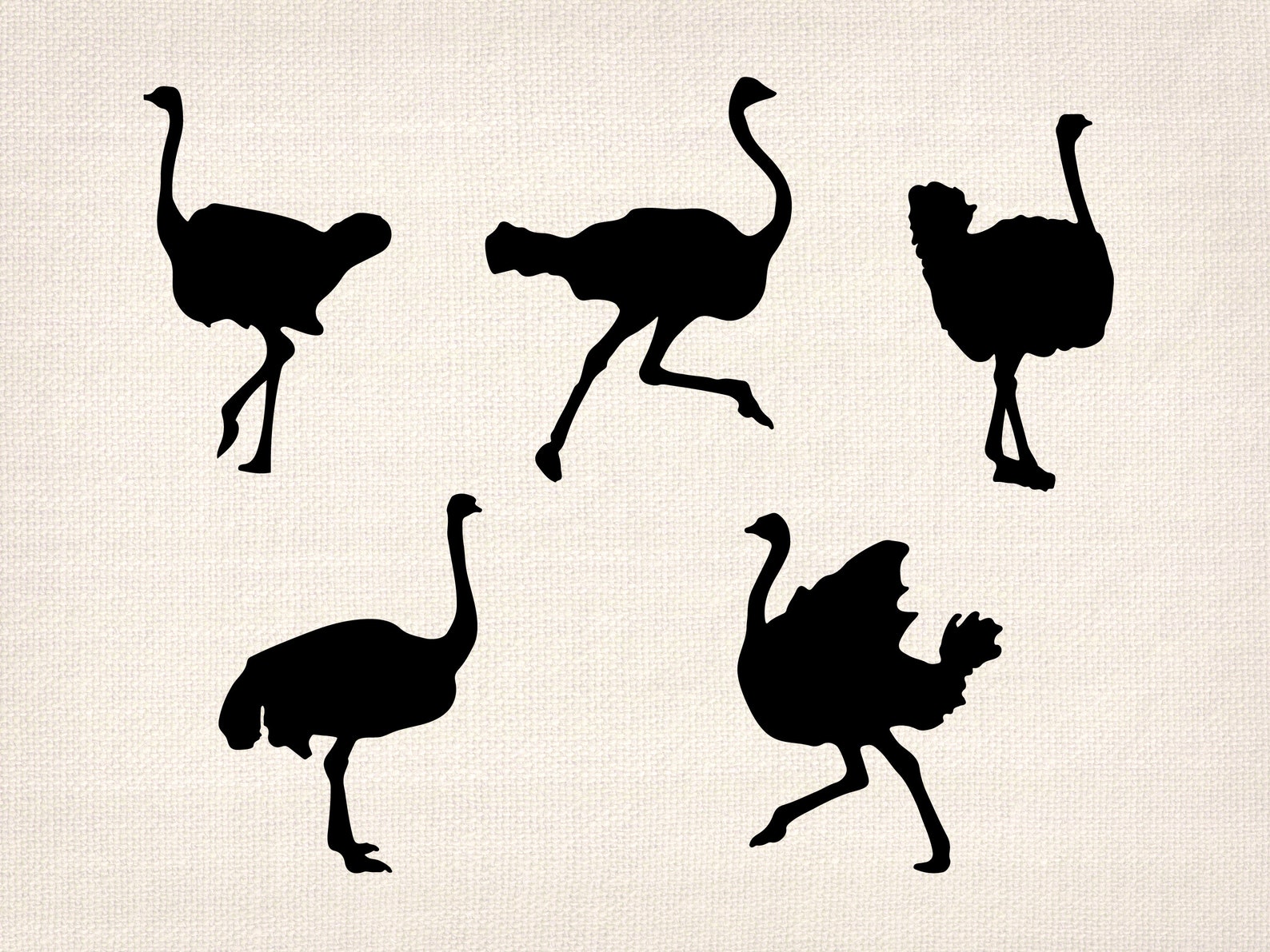 Ostrich Silhouette SVG Vector Clipart Ostrich Shape Cut - Etsy