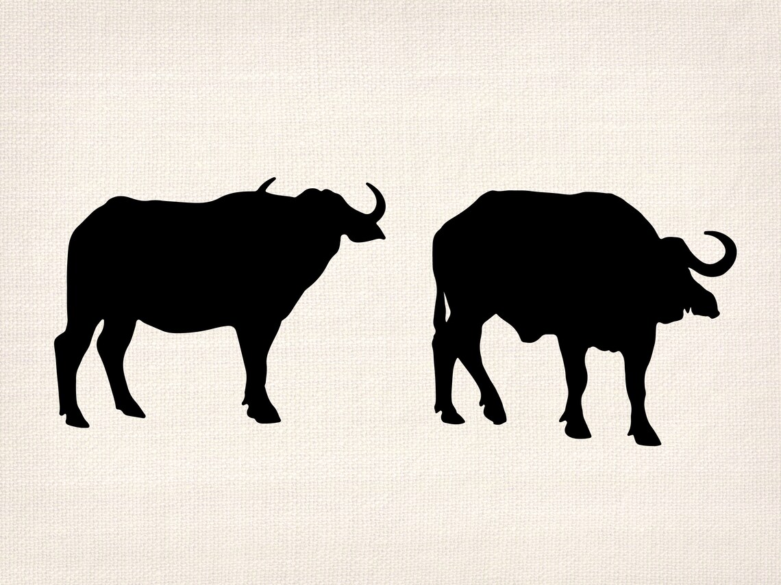 Buffalo Silhouette SVG Vector Clipart Buffalo Shape Cut Files Animal ...