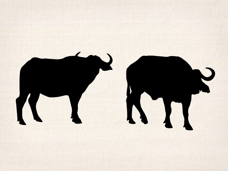 Buffalo Silhouette SVG Vector Clipart Buffalo Shape Cut Files Animal ...