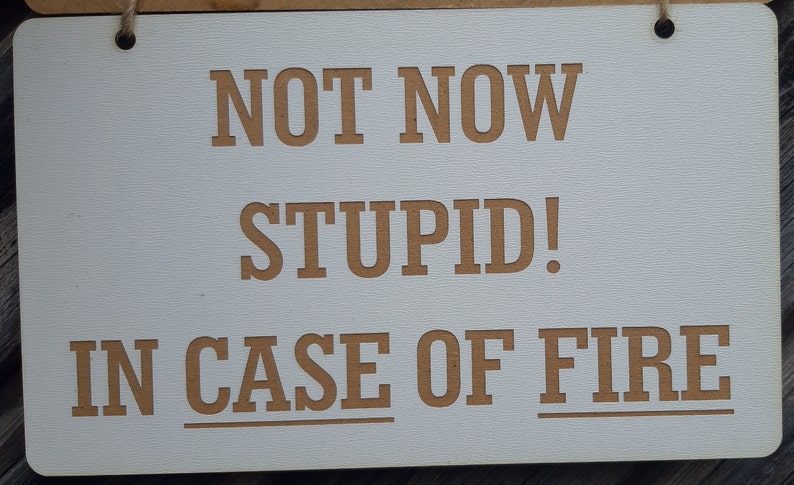 In Case of Fire Raise This Flap Not Now Stupid in Case of Fire - Etsy