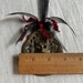 Medieval Hellmouth Talisman, Gothic Antique Brass Ornament - Etsy