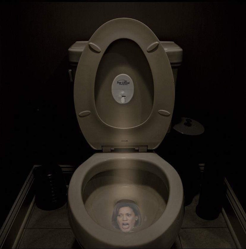 Pee-litical Target Toilet Light Projector joe Kamala - Etsy