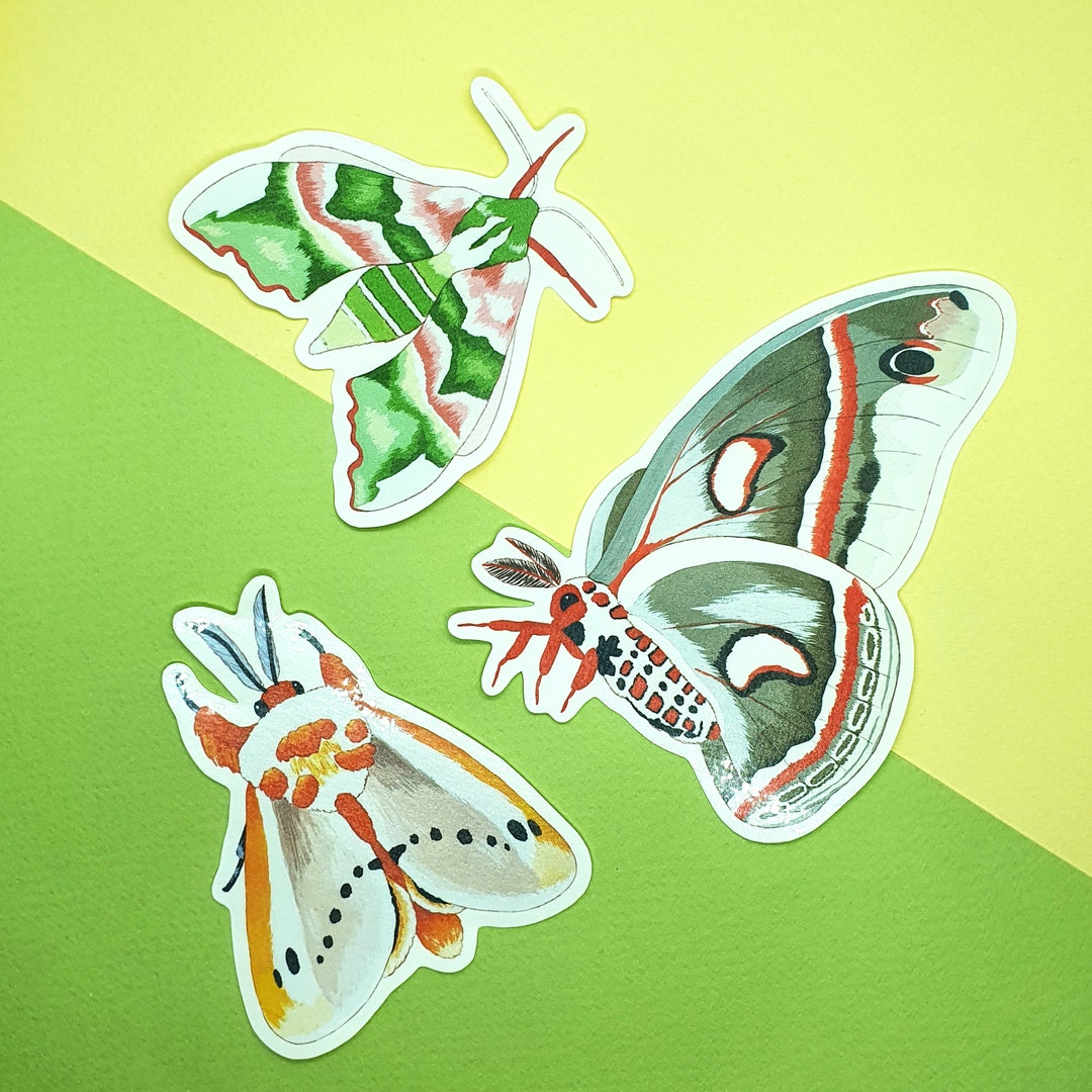 Pretty Moths Sticker Pack - Etsy