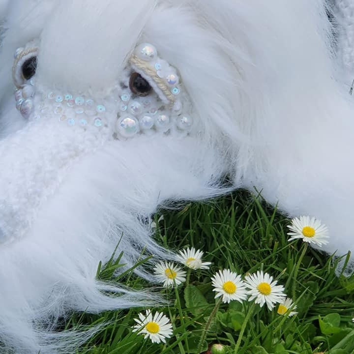 Falkor the Luck Dragon Crochet Pattern | Etsy