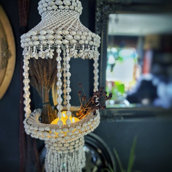 Shell Chandelier - Etsy