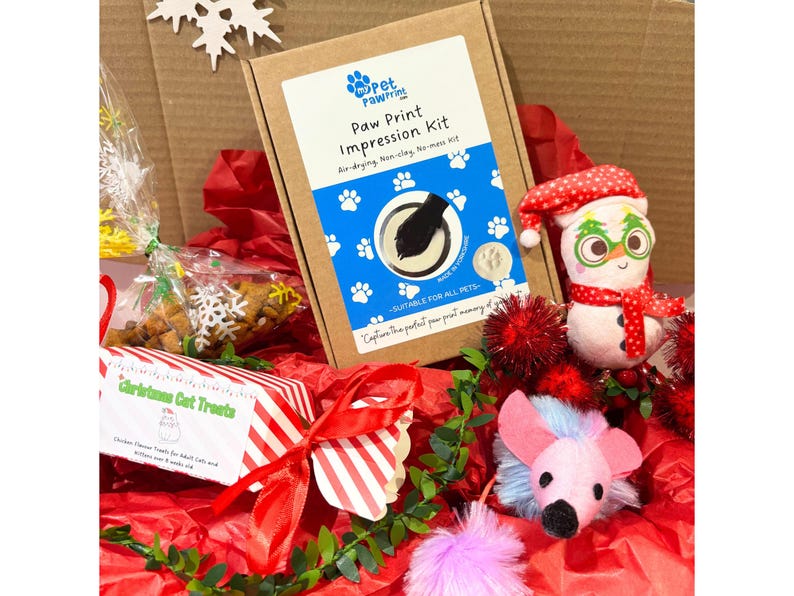 Personalised Cat Christmas Gift Box Present – Paw Print Kit, Toys ...