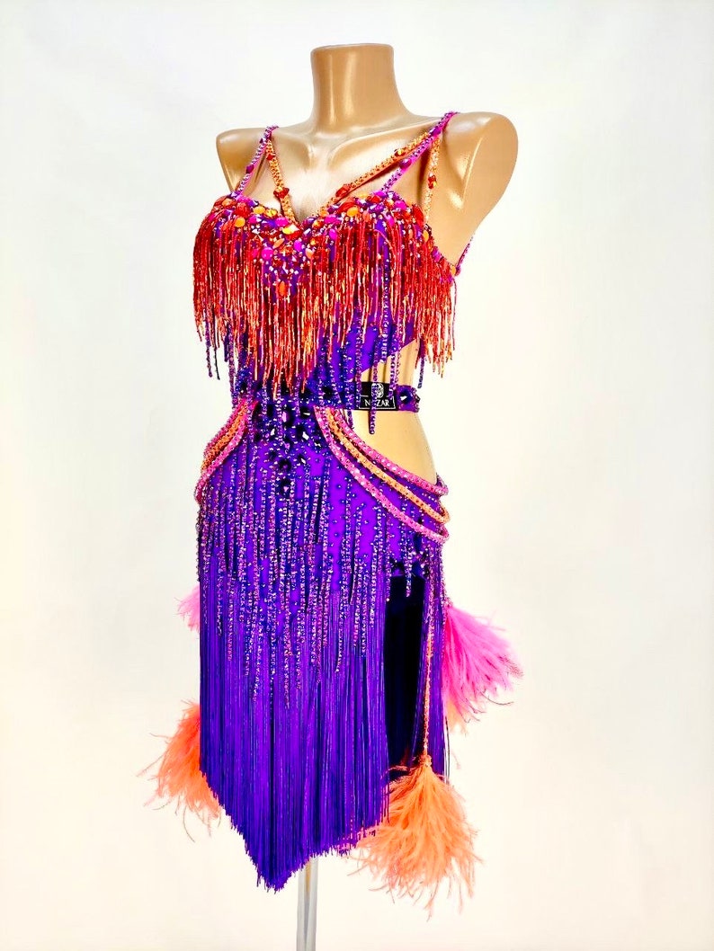 Circus : Rhythm & Latin Dress. Ballroom Dance Dress for Standard ...