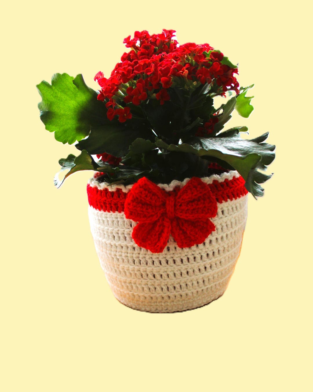 Crochet Planter Pattern - French and English PDF Pattern - Christmas ...