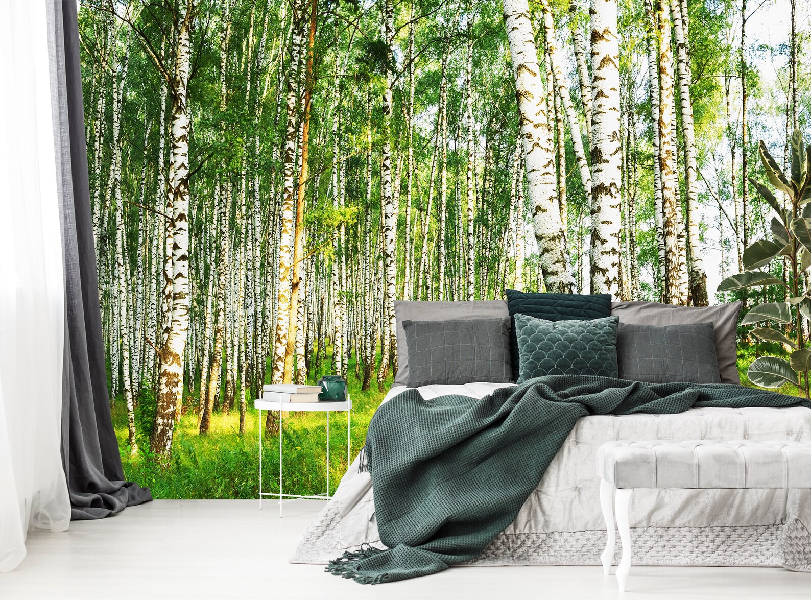 Forest Wallpaper Forest Wall Mural Peel and Stick Wallpaper - Etsy