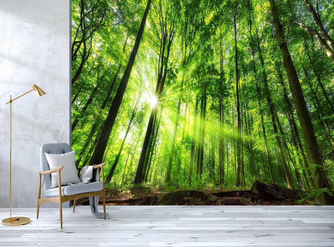Forest Wallpaper Forest Wall Mural Peel and Stick Wallpaper | Etsy