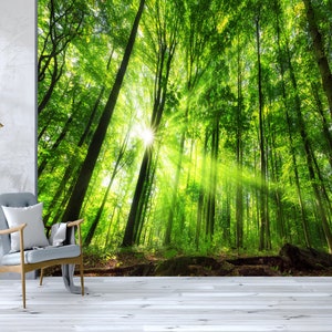 Forest Wallpaper, Forest Wall Mural, Peel and Stick Wallpaper ...