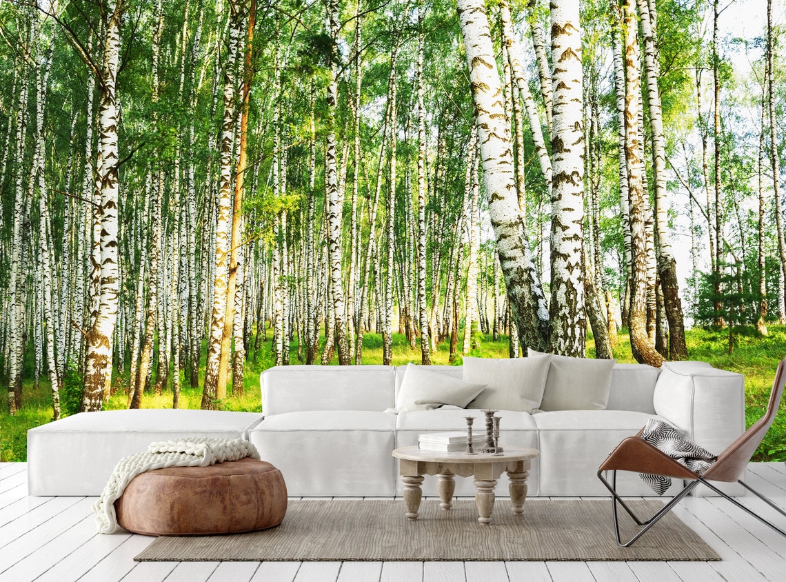 Forest Wallpaper Forest Wall Mural Peel and Stick Wallpaper - Etsy