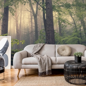 Forest Wallpaper, Forest Wall Mural, Photo, Peel and Stick Wallpaper ...