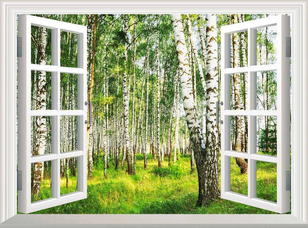 Birch Forest Wall Decal: 3D Window View, Removable Vinyl Mural - Etsy