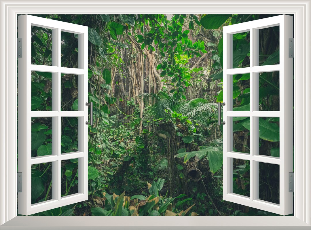 3D Jungle Window View Wall Decal: Rainforest Path Mural - Etsy