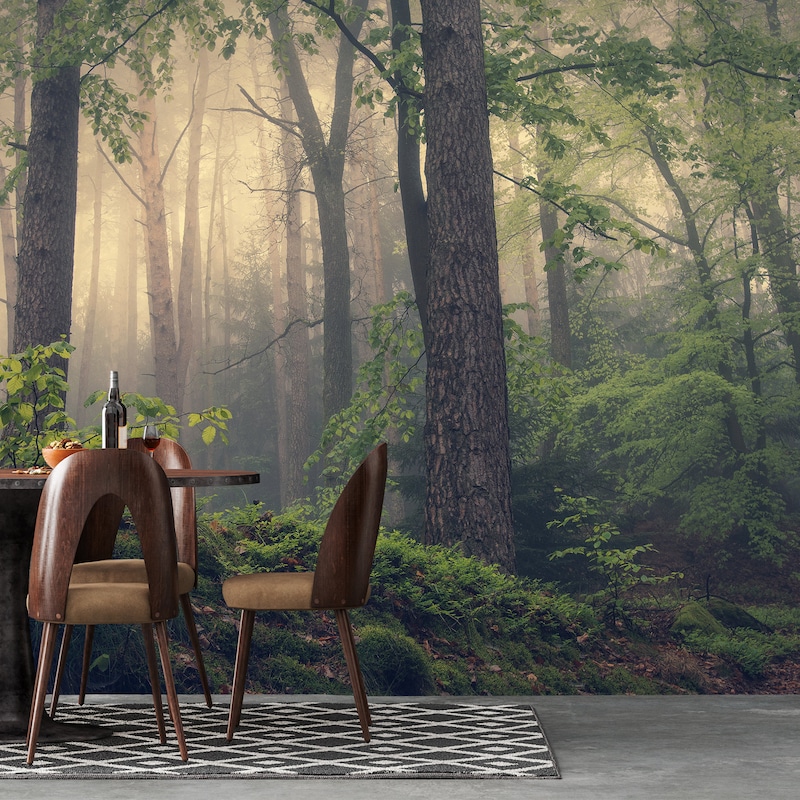 Forest Wall Mural - Etsy