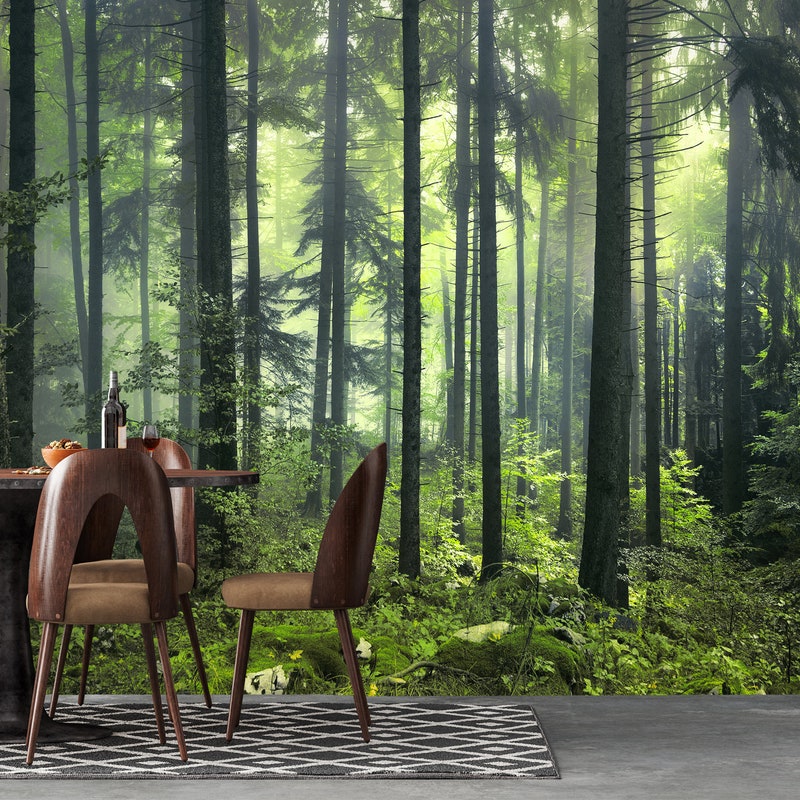 Forest Wallpaper - Etsy