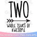 Two Whole Years of Awesome SVG, Second Birthday Svg, Dxf, Png, 2nd ...