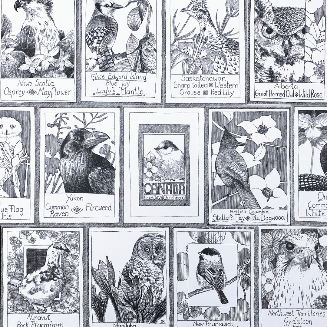 Canadian Provinces Postcard Set: Birds & Floral Emblems, Black and ...