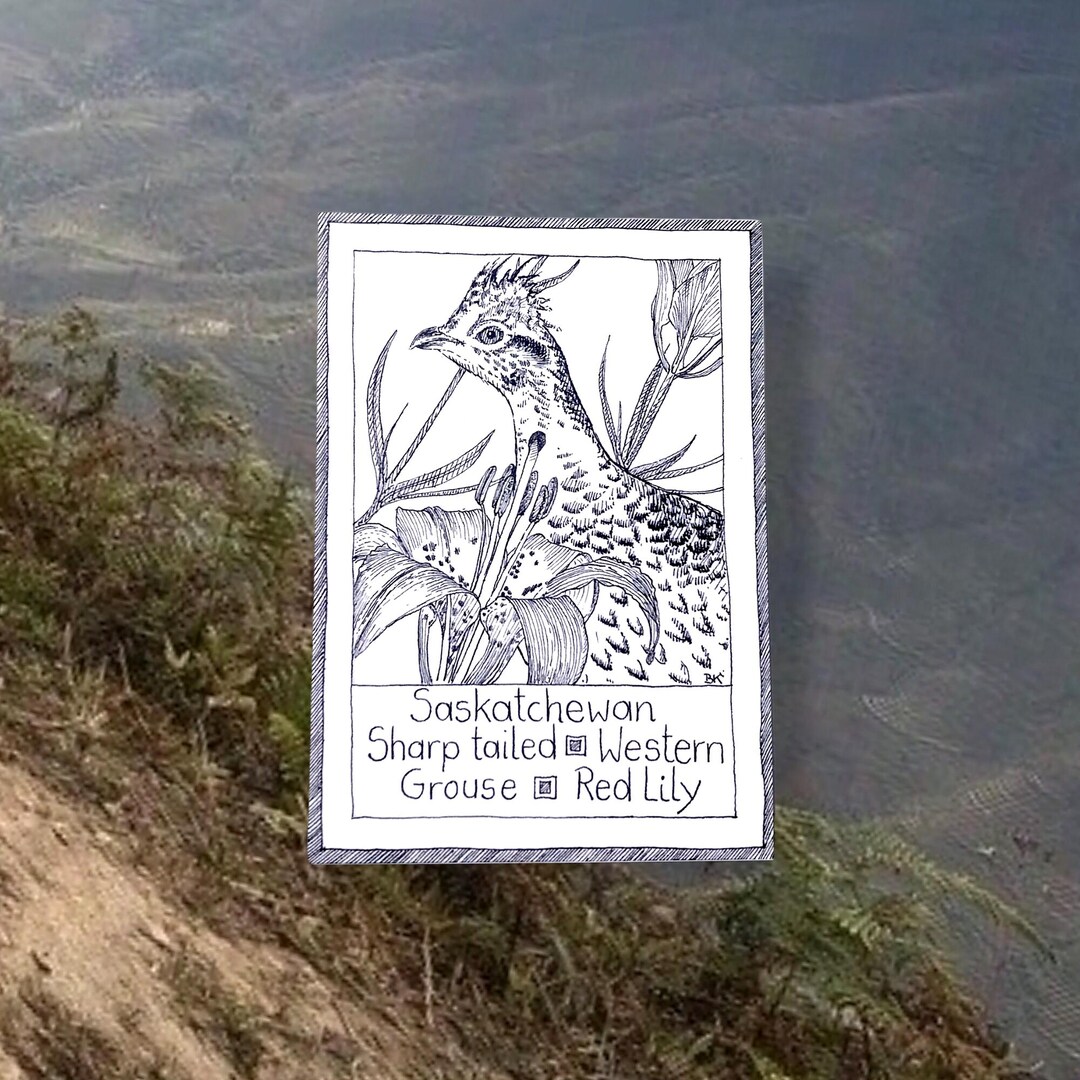 Saskatchewan Postcard - Provincial Theme - Canadian Birds and Floral ...