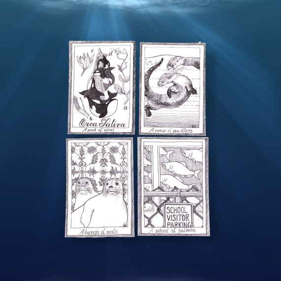 Sea Life Postcard Pack Local Sea Animals Hand Drawn Black - Etsy