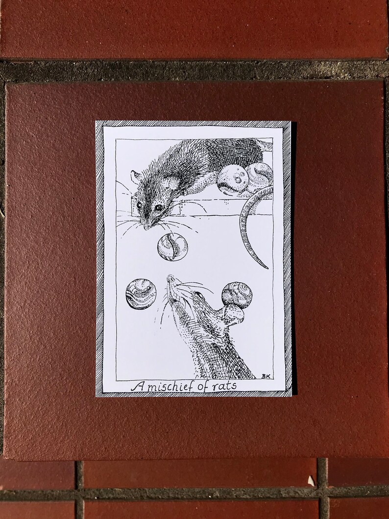 Rat Postcard - Cute Rodents - Hand Drawn and Printed, Illustrative ...