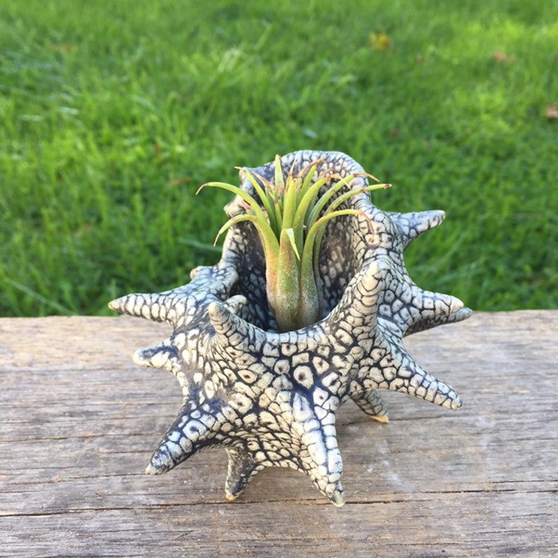 Ocean Planter 027 - Etsy