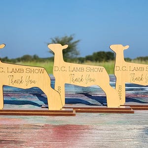 Class Winner Award, Livestock Show, Animal, Lamb, Goat, Pig, Rabbit ...