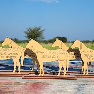 Class Winner Award, Livestock Show, Animal, Lamb, Goat, Pig, Rabbit ...