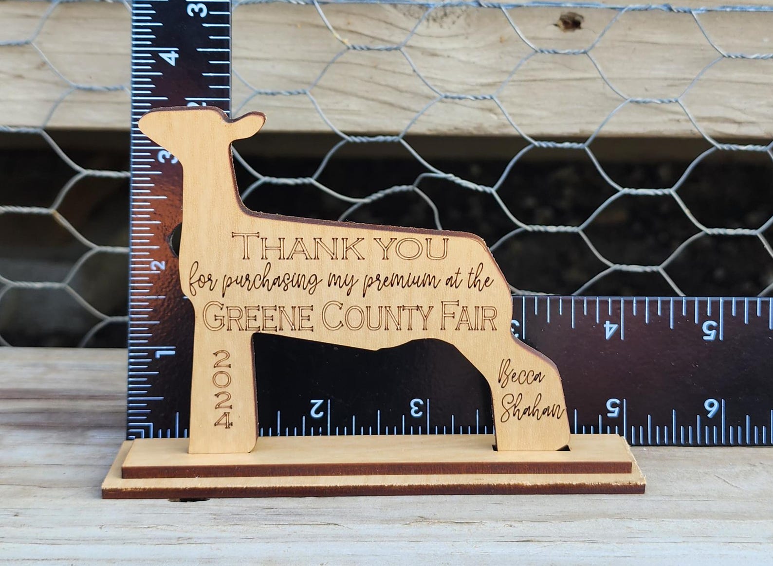 Class Winner Award, Livestock Show, Animal, Lamb, Goat, Pig, Rabbit ...