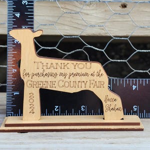 Class Winner Award, Livestock Show, Animal, Lamb, Goat, Pig, Rabbit ...