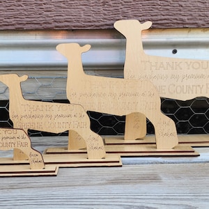 Class Winner Award, Livestock Show, Animal, Lamb, Goat, Pig, Rabbit ...