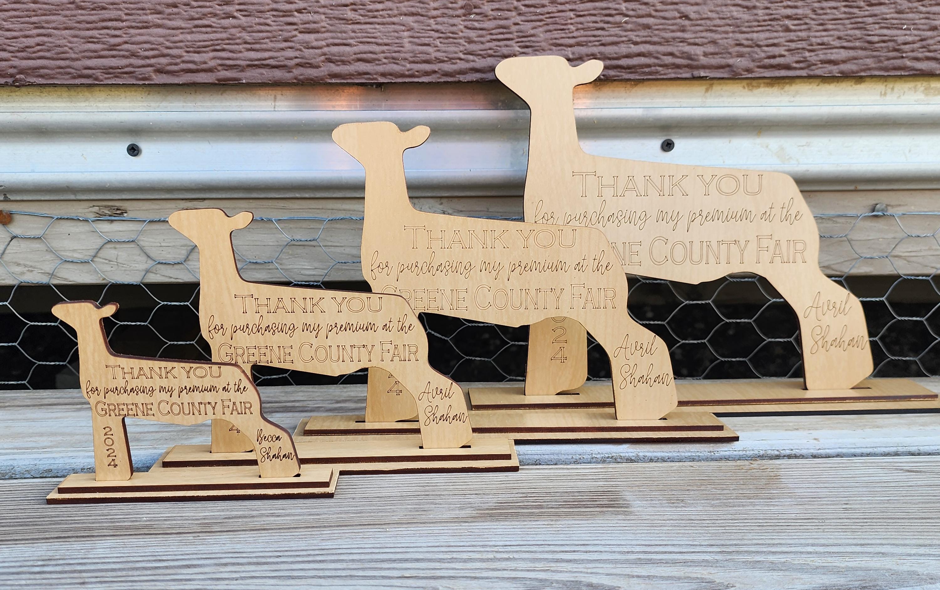 Class Winner Award, Livestock Show, Animal, Lamb, Goat, Pig, Rabbit ...