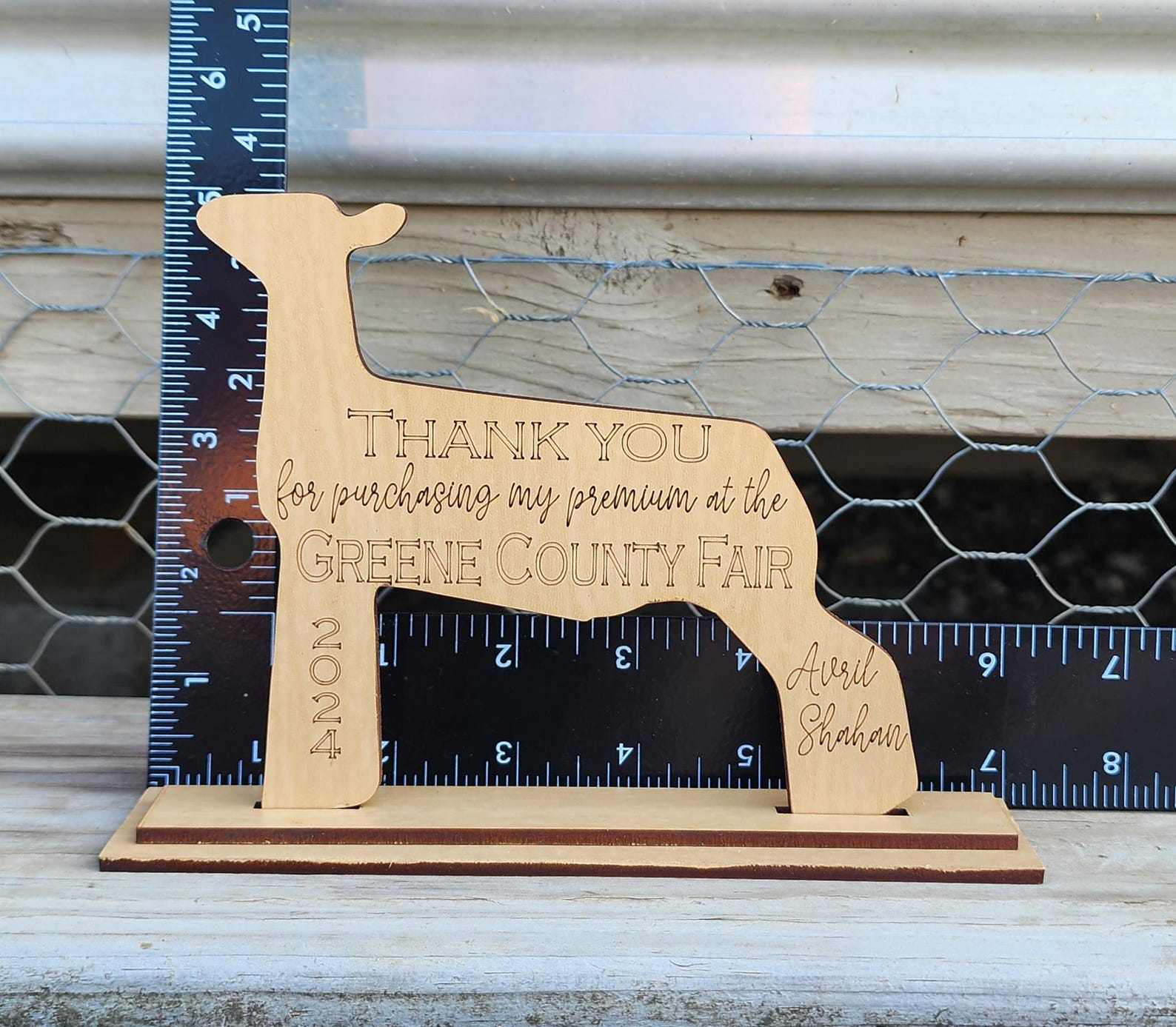 Class Winner Award, Livestock Show, Animal, Lamb, Goat, Pig, Rabbit ...