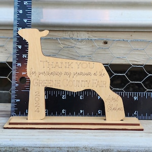 Class Winner Award, Livestock Show, Animal, Lamb, Goat, Pig, Rabbit ...