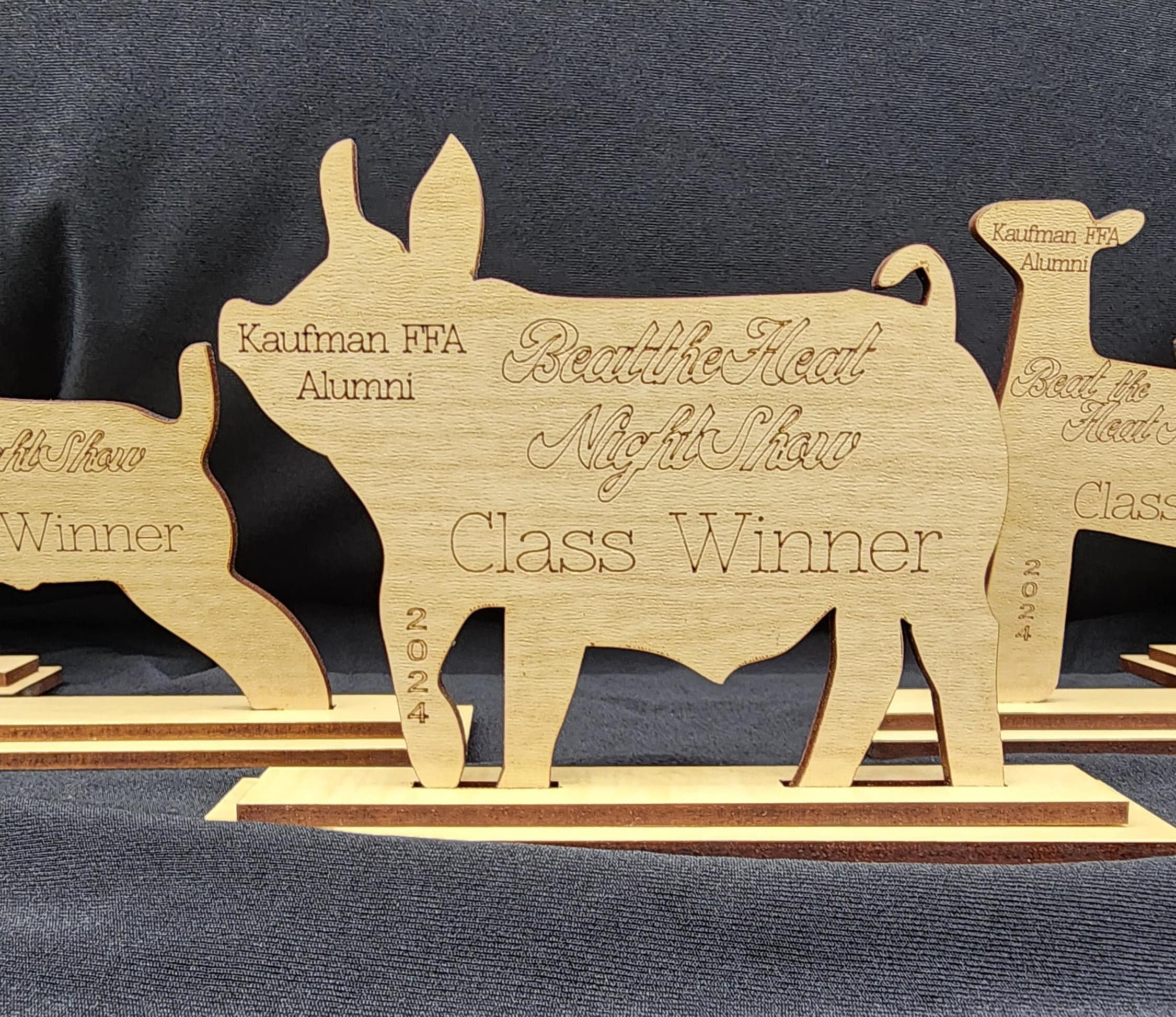 Class Winner Award, Livestock Show, Animal, Lamb, Goat, Pig, Rabbit ...