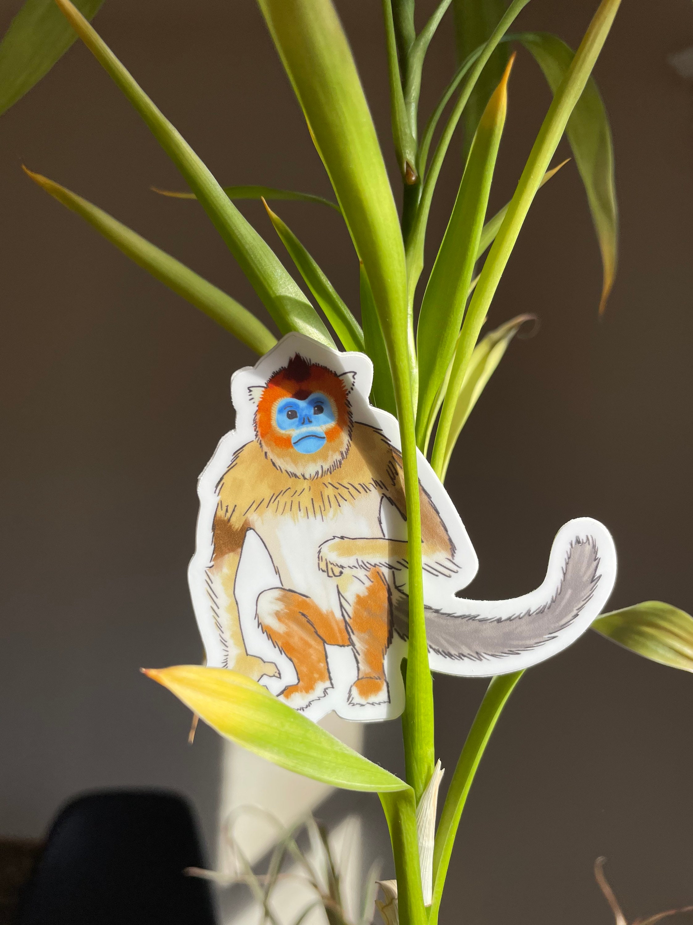 Golden Snub-nosed Monkey Sticker waterproof Weird Animal Vinyl Sticker ...