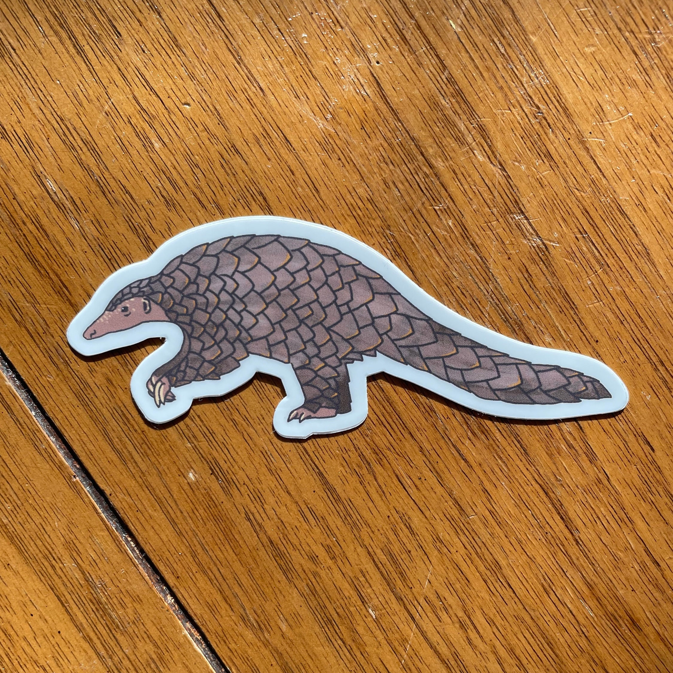 Pangolin Sticker waterproof Weird Animal Vinyl Sticker - Etsy