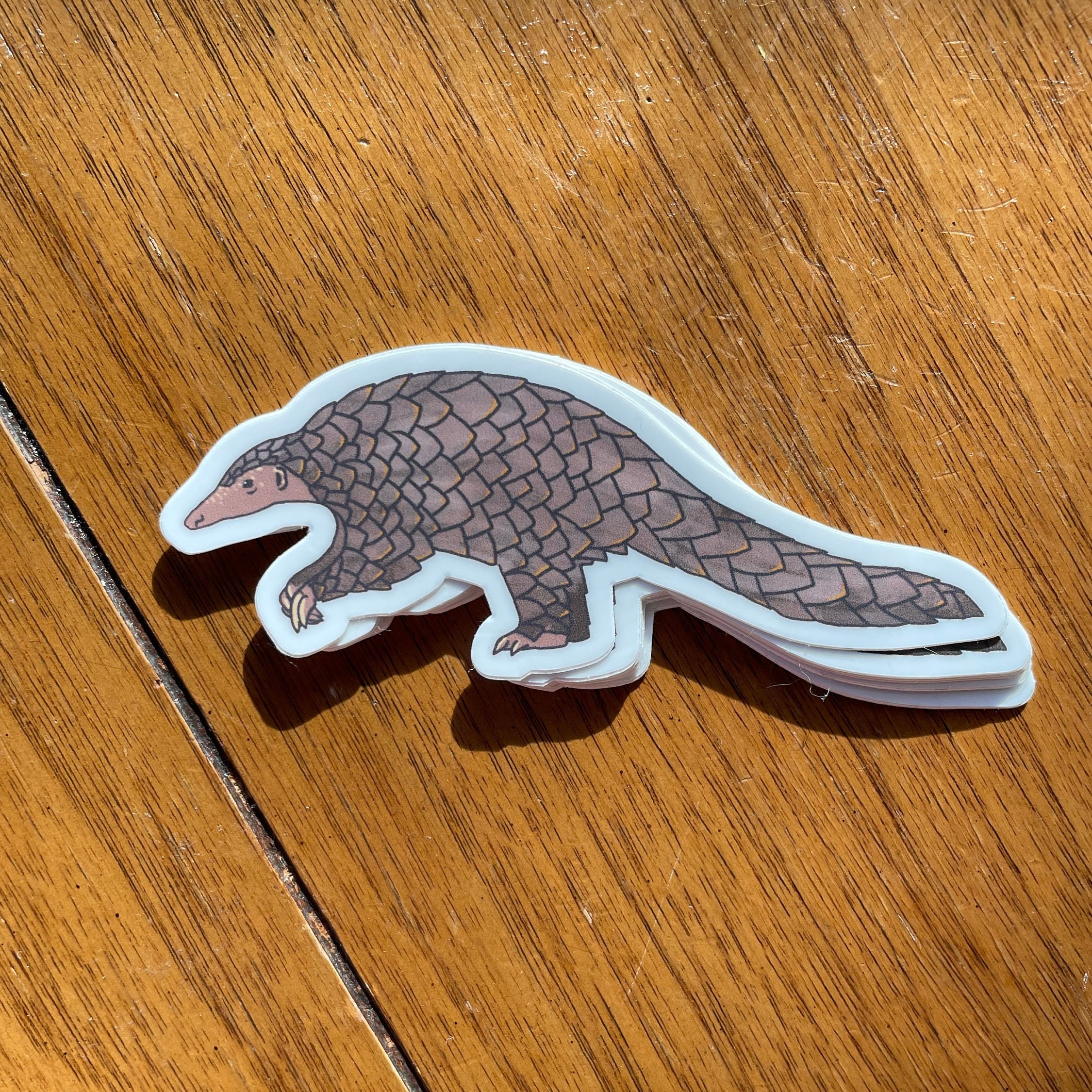 Pangolin Sticker waterproof Weird Animal Vinyl Sticker - Etsy