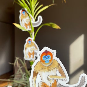 Golden Snub-nosed Monkey Sticker (waterproof Weird Animal Vinyl Sticker ...
