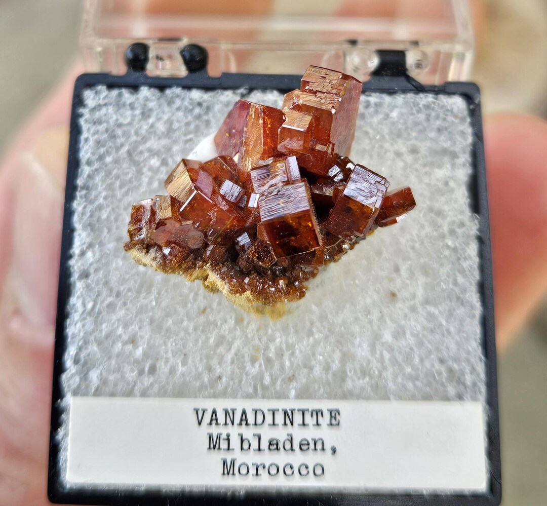 Impressive GEM Vanadinite, Mibladen, Morocco With Willard Perkins Perky ...