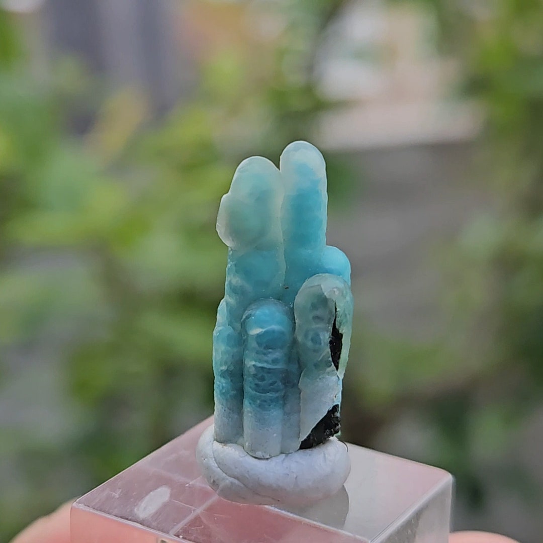 Alien Gem Silica Chrysocolla Stalactites, Ray Mine, Pinal Co., Arizona ...