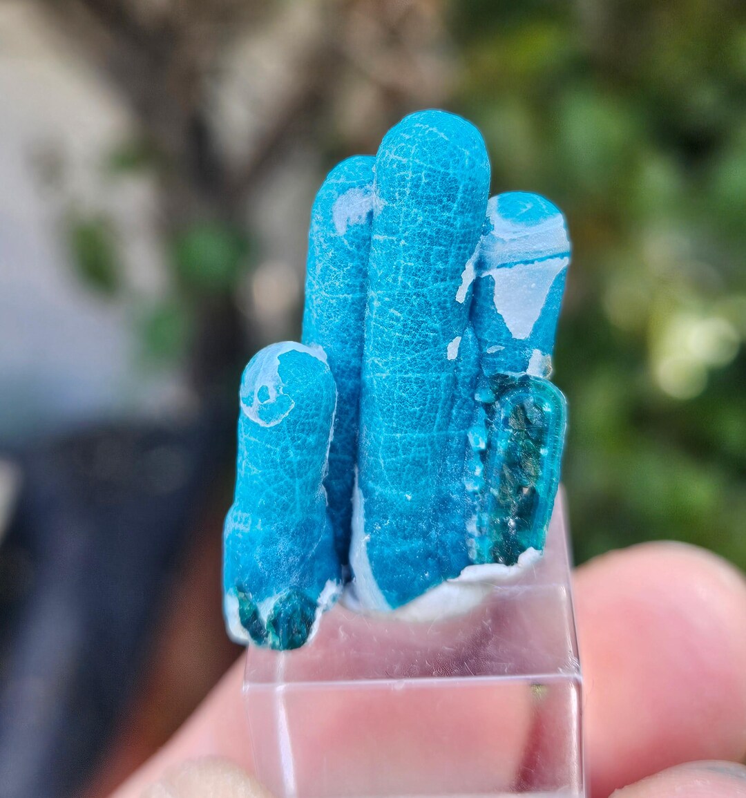 Alien Dark Blue Gem Silica Chrysocolla Stalactites With Quartz, Ray ...